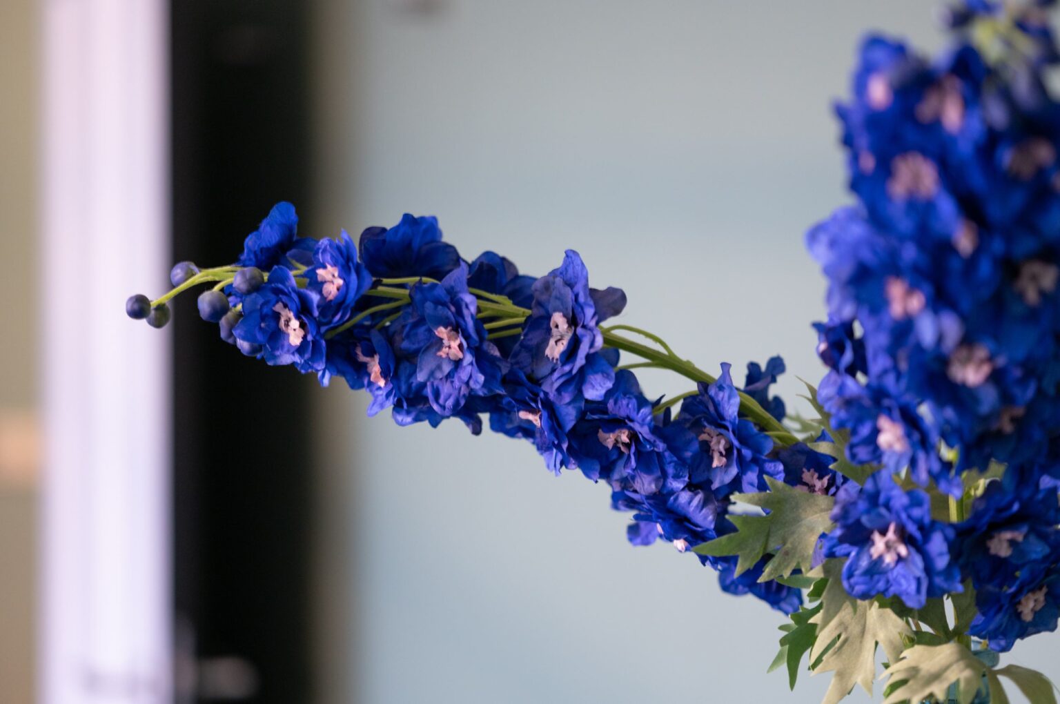 Box 1: Dutch income tax rates 2025 | Expat Service